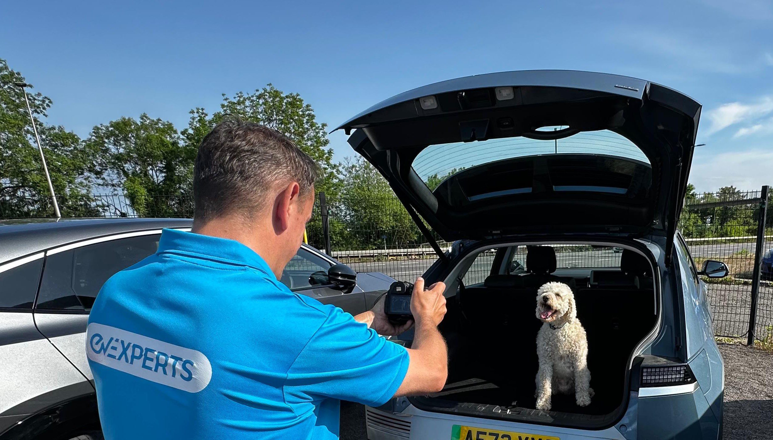 Which EV would your dog choose? Ruby's back to help! – EV Experts